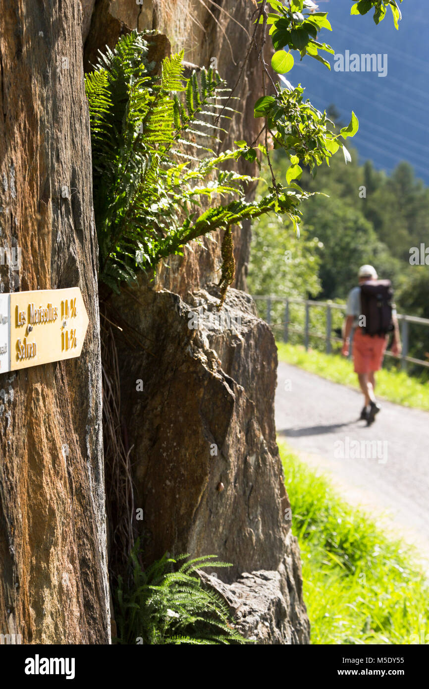 Walk yellow hi-res stock photography and images - Alamy