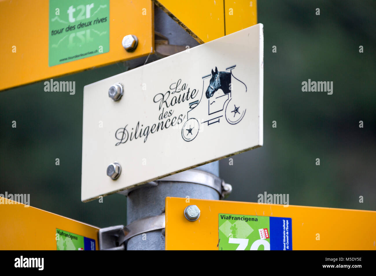 Signposts, Hiking, walk, Yellow, footpath Stock Photo - Alamy