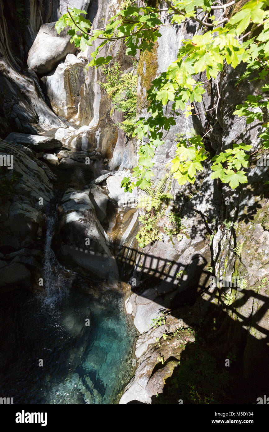 Gulch, water, brook, mountain, mountains, the Alps, wood, stones, stone ...