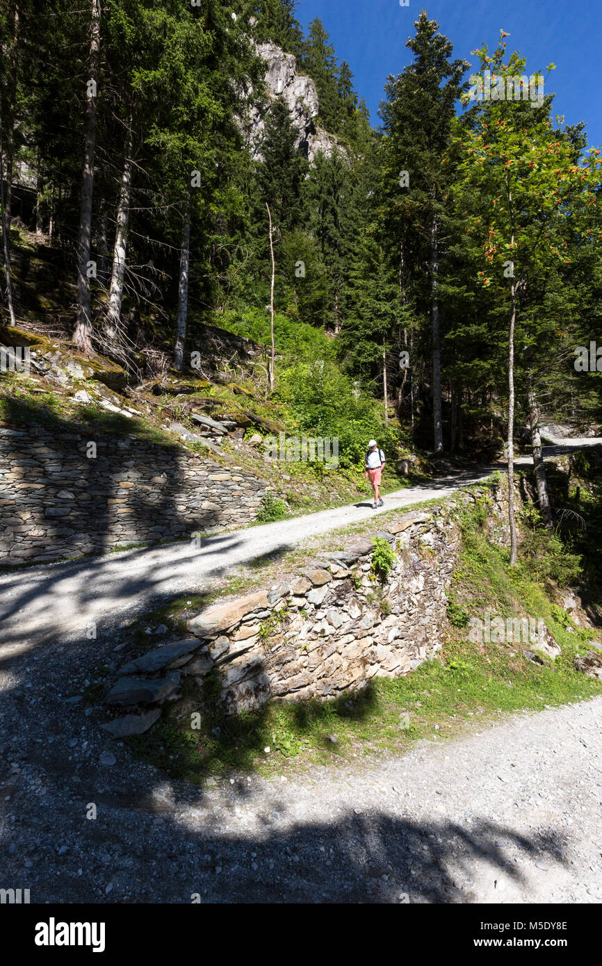 The Alps, walk, footpath, trees, green, blue, mountains, mountain Stock ...