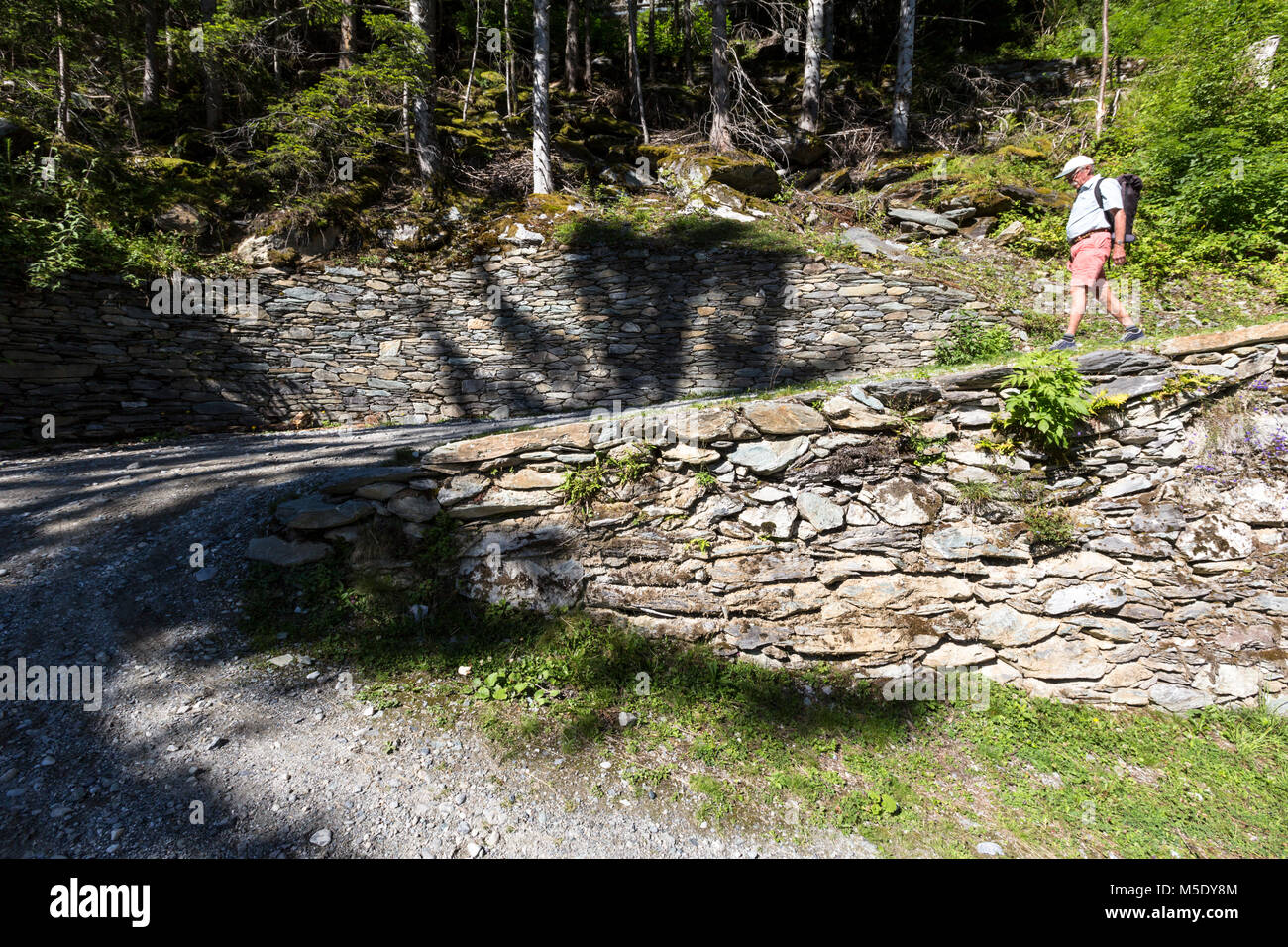 The Alps, walk, footpath, trees, green, blue, mountains, mountain Stock ...