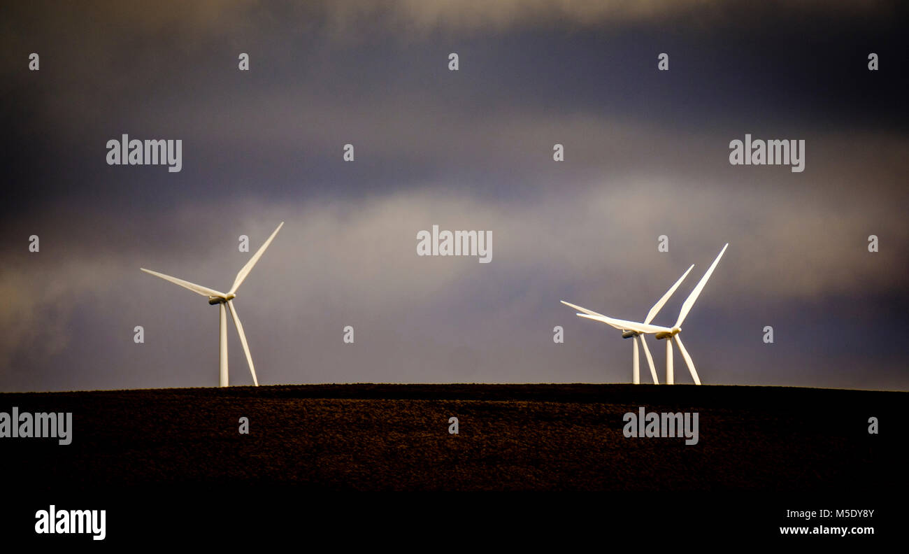 Wind Turbines on the Clyde Wind Farm - a 350 megawatt (MW) wind farm ...