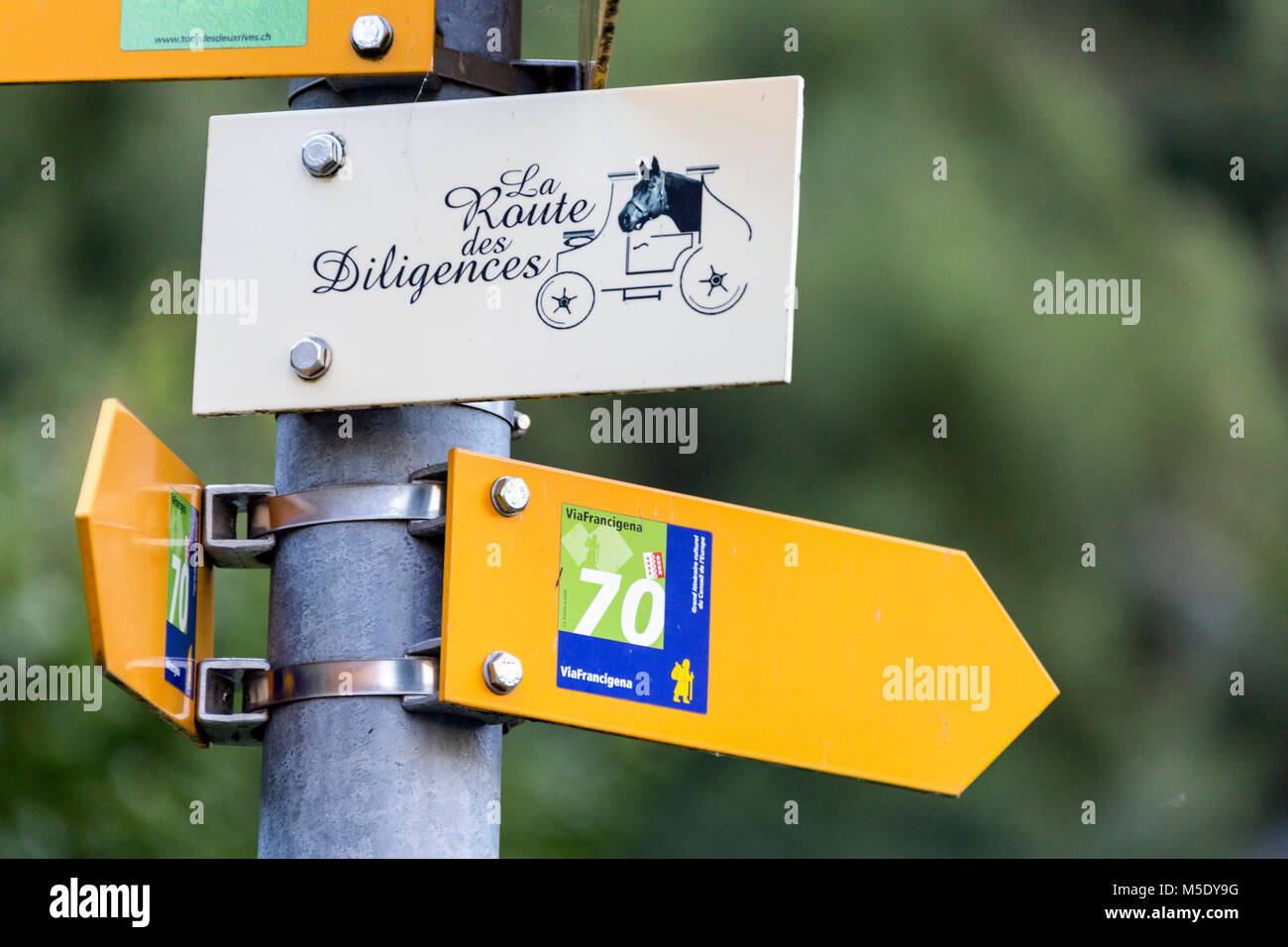 Signposts, Hiking, walk, Yellow, footpath Stock Photo - Alamy