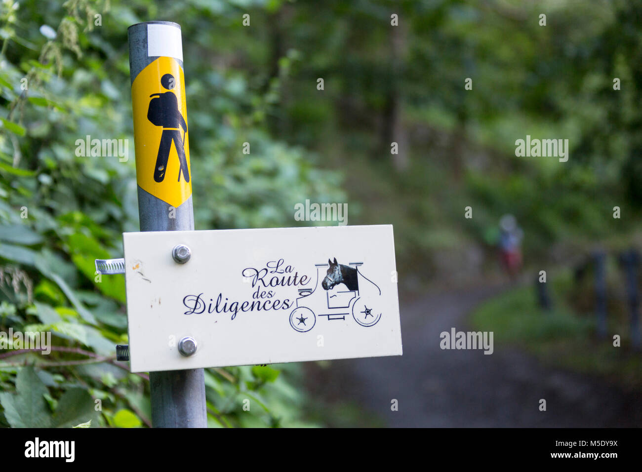 Signposts, Hiking, walk, Yellow, footpath Stock Photo - Alamy