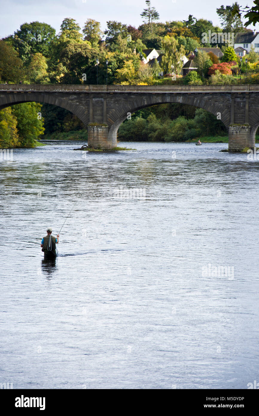 Fishing for salmon, the Junction pool, where the river Teviot meets the ...