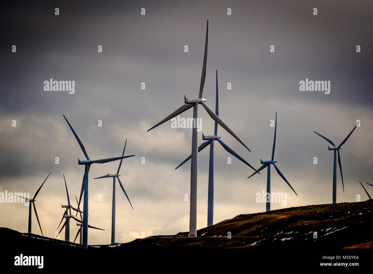Wind Turbines on the Clyde Wind Farm - a 350 megawatt (MW) wind farm ...