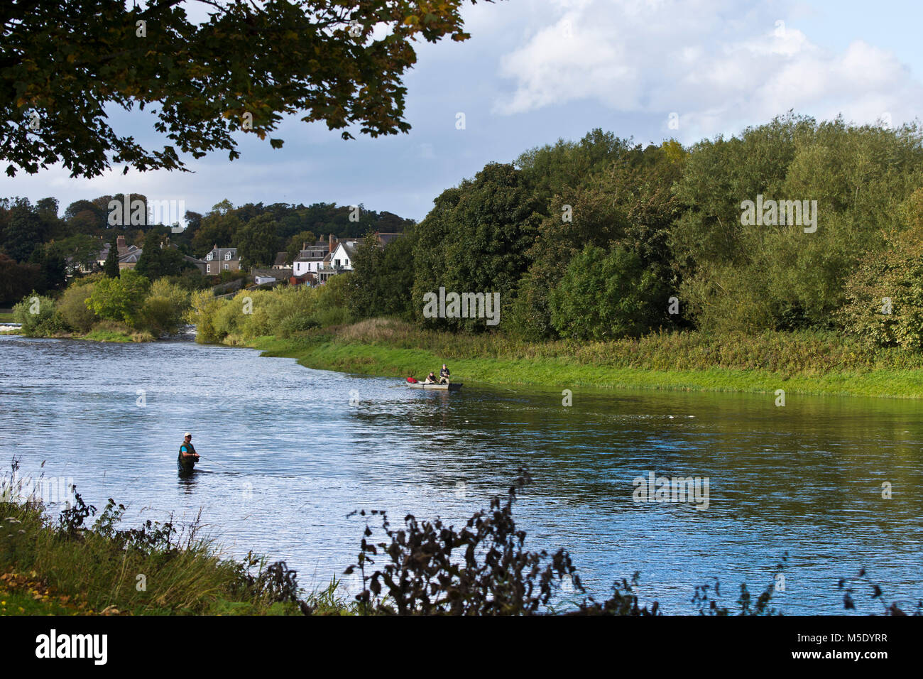 Kelso salmon fisher hi-res stock photography and images - Alamy