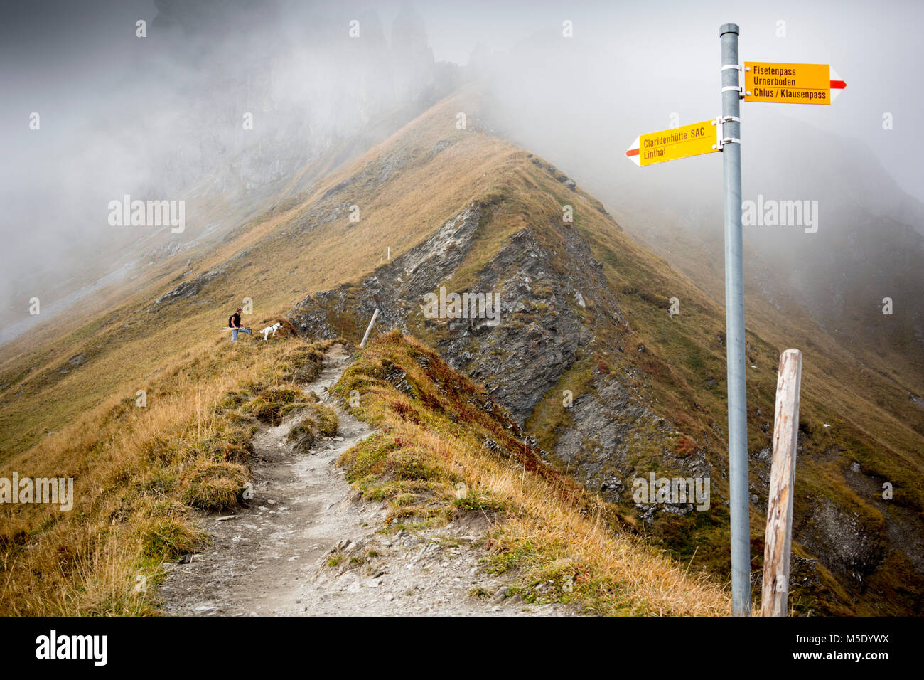 Hiking, walking, the Alps, mountains, rock, stone, signpost, Yellow ...