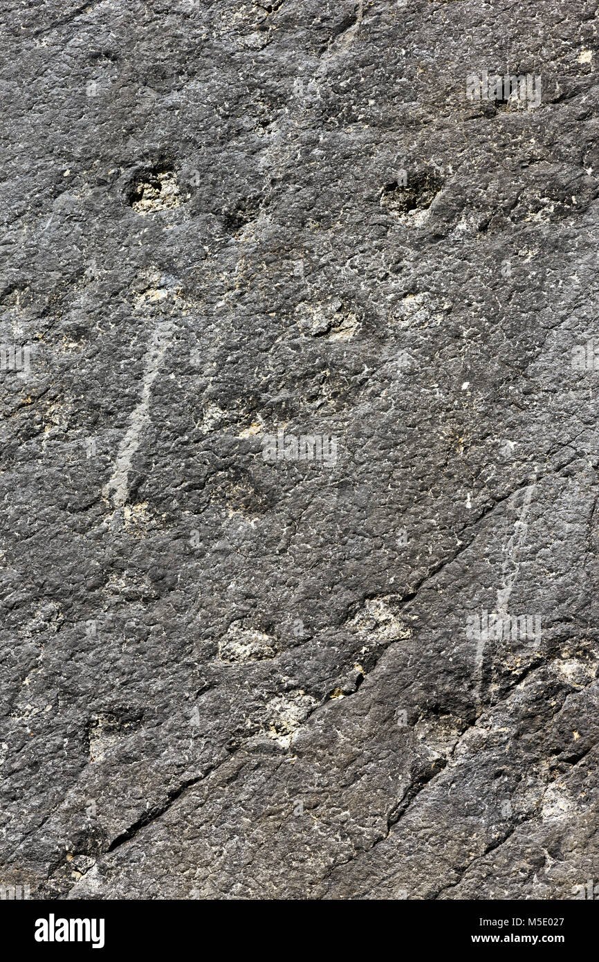 Rocks, dinosaur record, rock record, impression, dinosaur, footprints ...