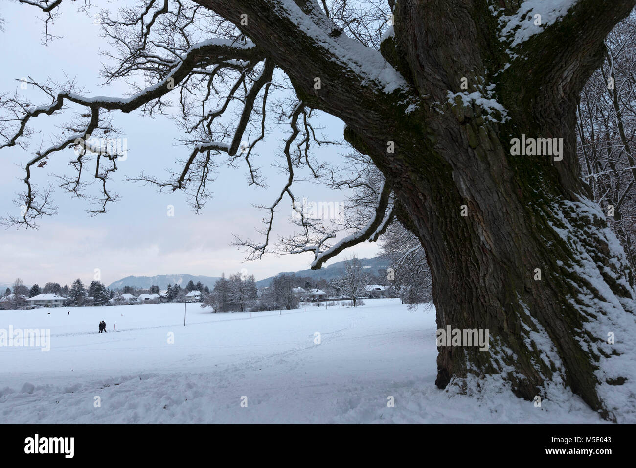 Coldly hi-res stock photography and images - Alamy