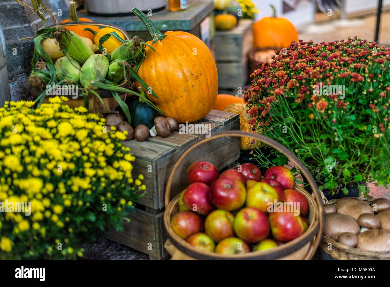 Autumn and Fall fruits and Vegetables - Seasonal Stock Photo - Alamy