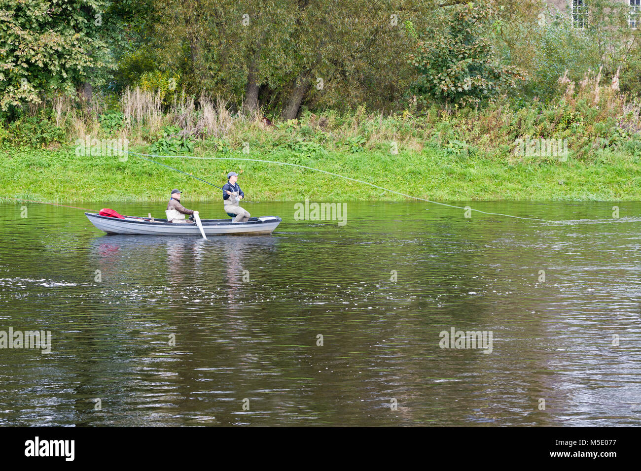 Fishing for salmon, the Junction pool, where the river Teviot meets the ...