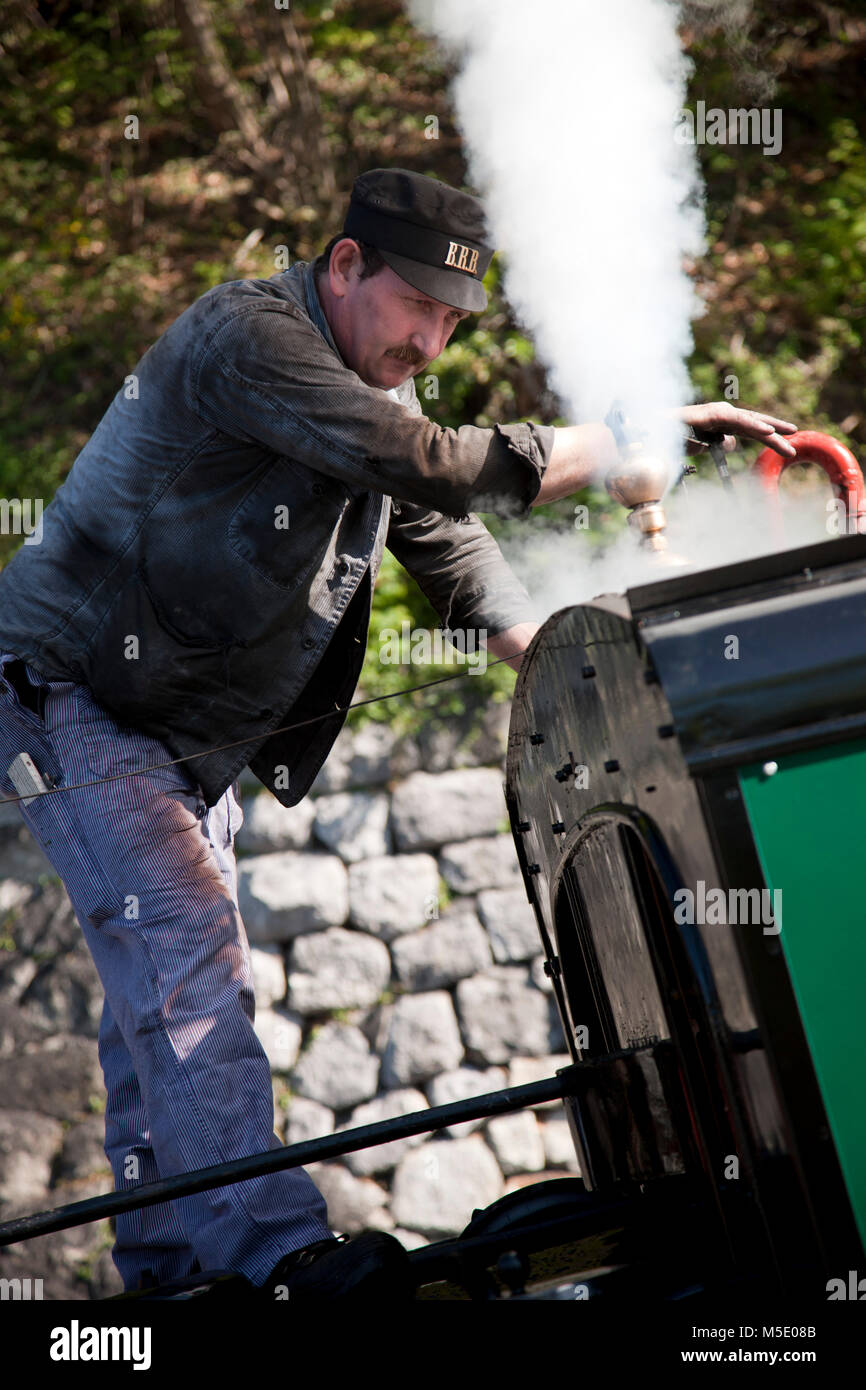 Mechanic, railroad engine, rack railway, steam road, train driver ...