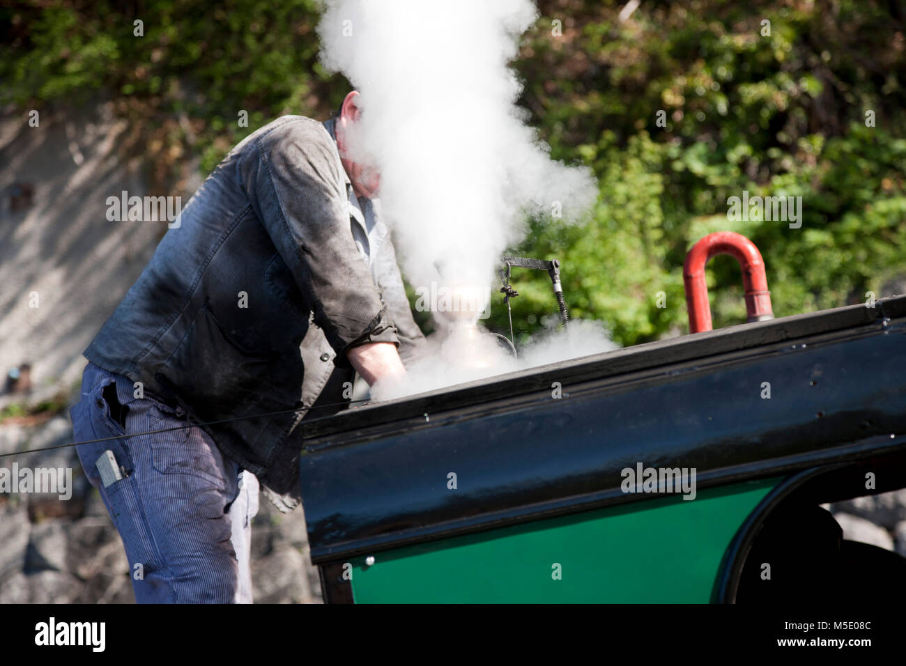Mechanic, railroad engine, rack railway, steam road, train driver ...
