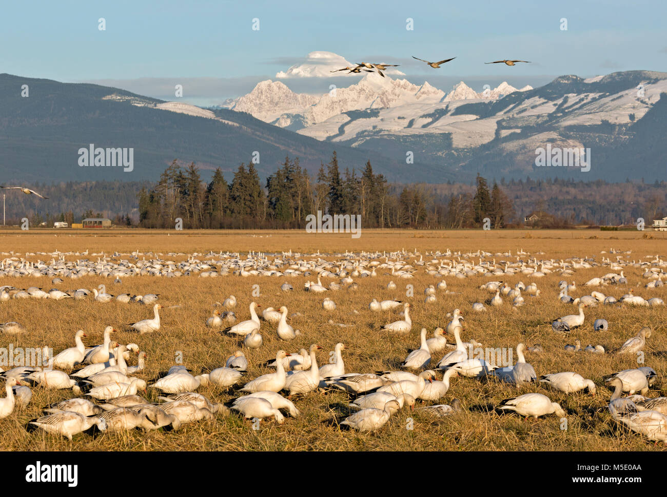 Delta areas hi-res stock photography and images - Alamy