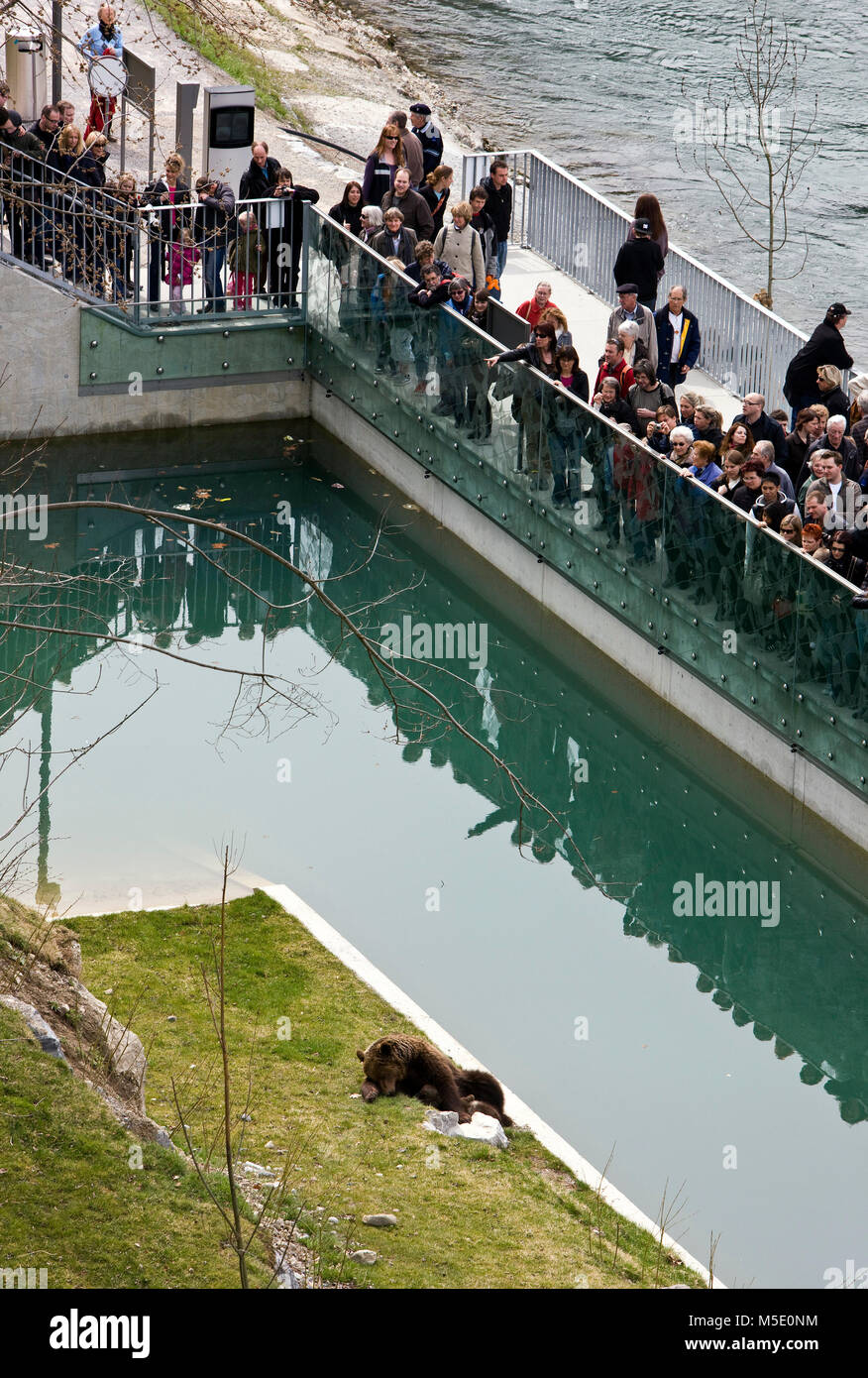 Bear's park Bern, bear's ditch, bear, spectator, animal enclosure ...