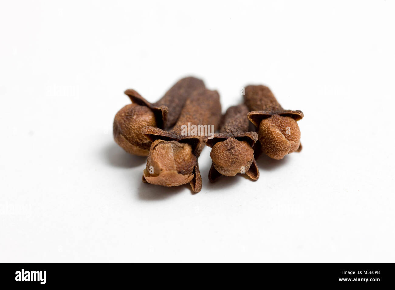 Remedial plant, dryly, plant parts, remedial plants, herb, herbs, tea ...