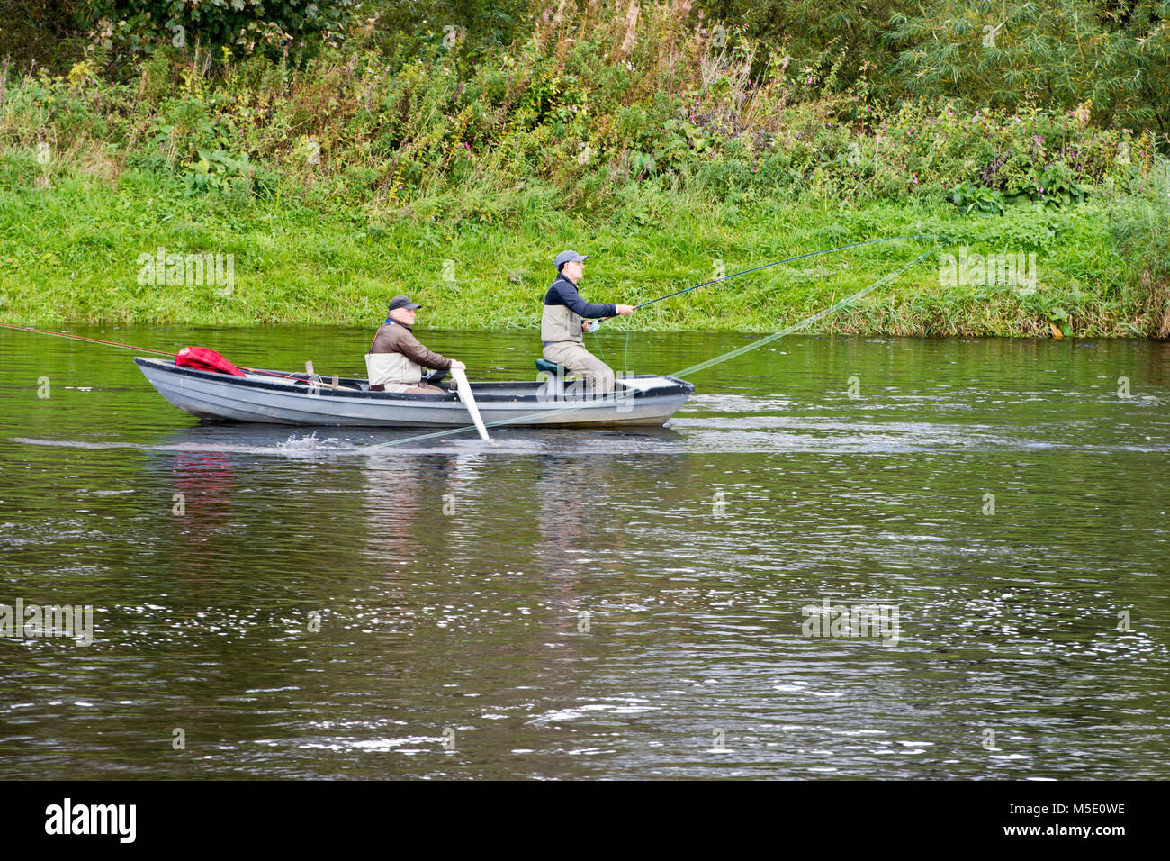 Fishing for salmon, the Junction pool, where the river Teviot meets the ...
