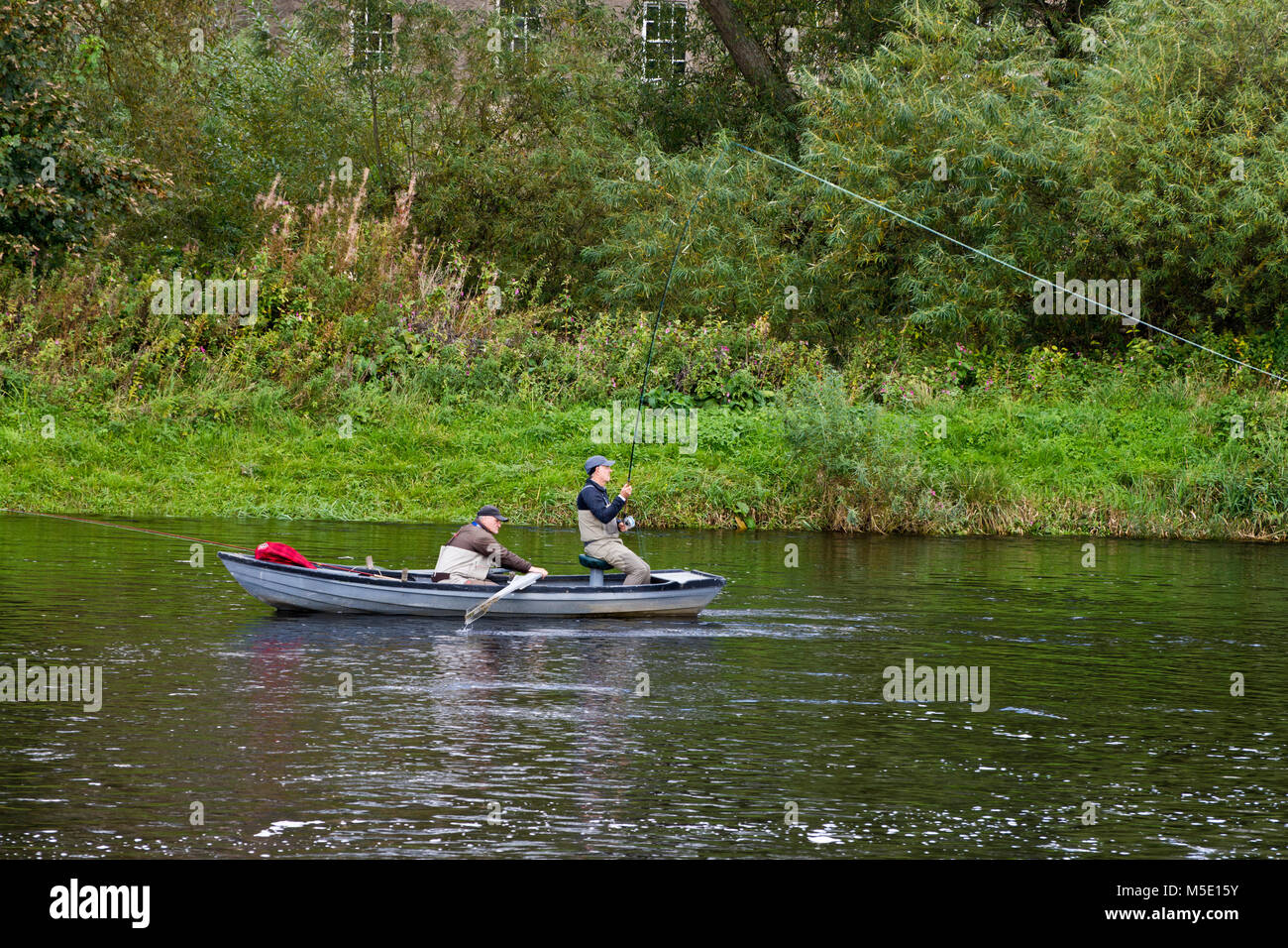 Fishing for salmon, the Junction pool, where the river Teviot meets the ...