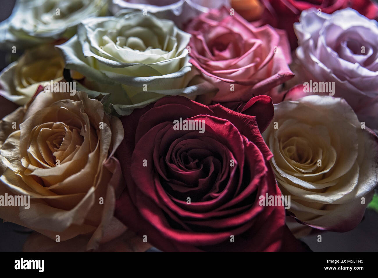closeup bouquet of colorful roses Stock Photo - Alamy