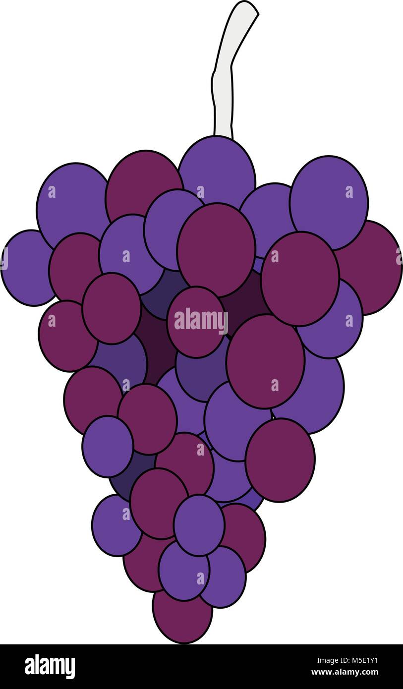 Grapes fruit symbol Stock Vector Image & Art - Alamy