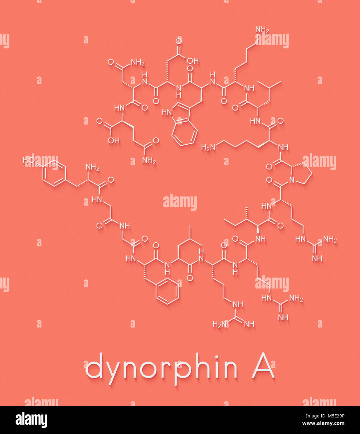 Dynorphin hi-res stock photography and images - Alamy