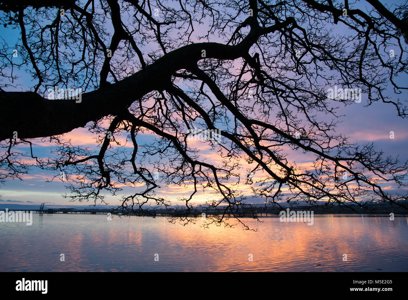 Foyle river sky nature tree hi-res stock photography and images - Alamy