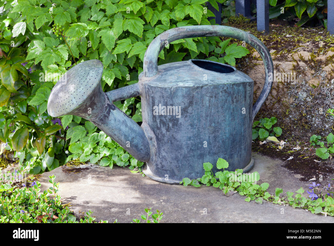 Rustic watering can on a stone step in a summer green garden Stock ...