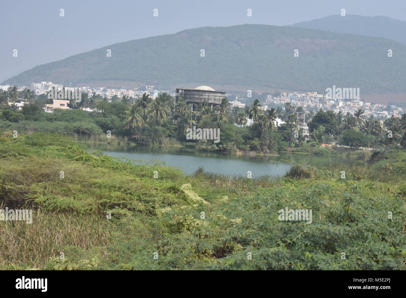 A city view from far distance with a lot of coconut trees Stock Photo ...