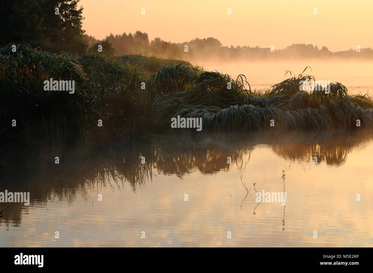 Dawn on the river early in the morning Stock Photo - Alamy