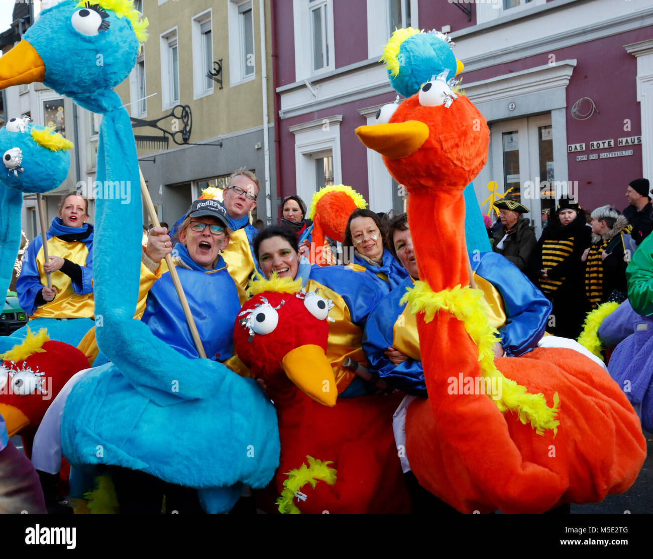 Viersen duelken hi-res stock photography and images - Alamy