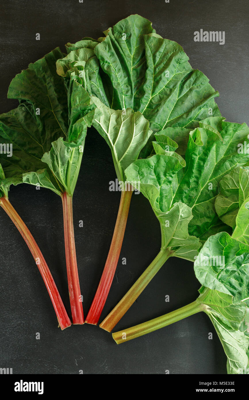 Rhubarb leaves hi-res stock photography and images - Alamy