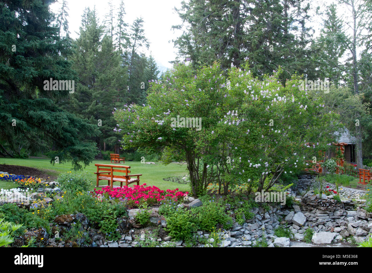 Cascade Gardens in Banff Canada Stock Photo - Alamy
