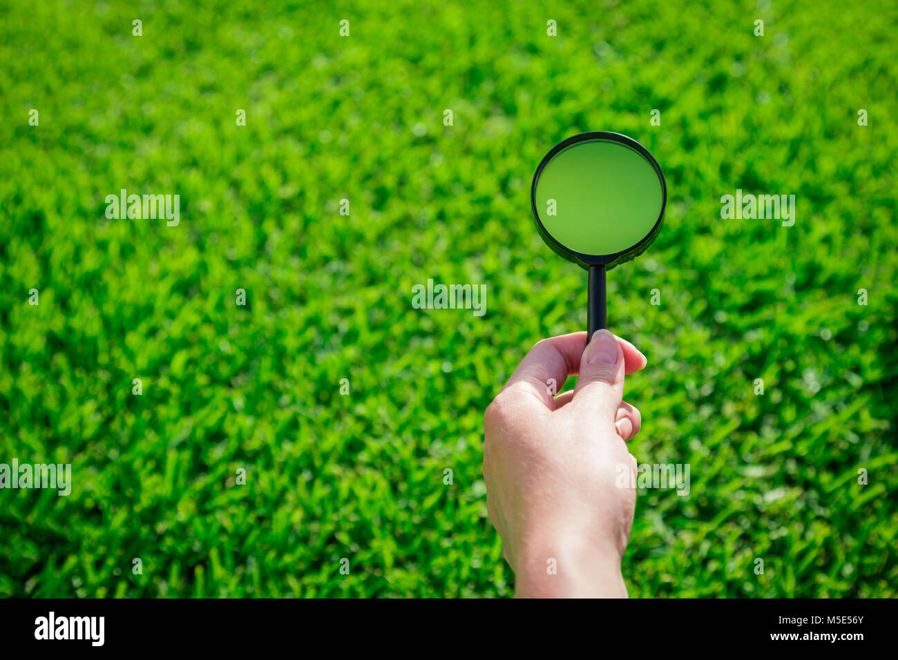 Magnifying lens plant hi-res stock photography and images - Alamy