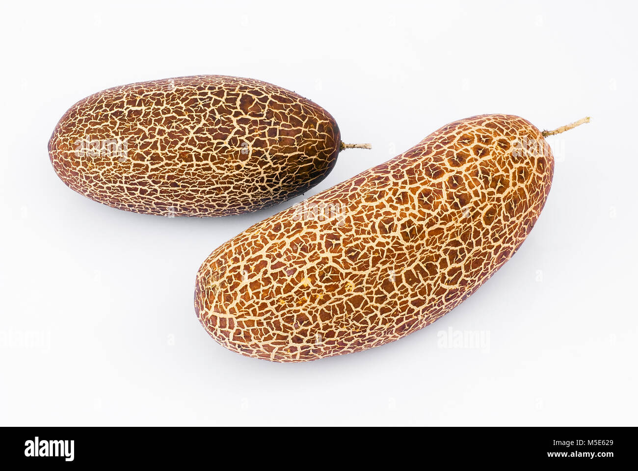 Sikkim cucumber Cut Out Stock Images & Pictures - Alamy
