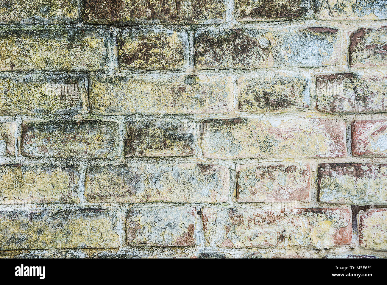 the texture of white bricks substrate for the site, Billboard printing ...