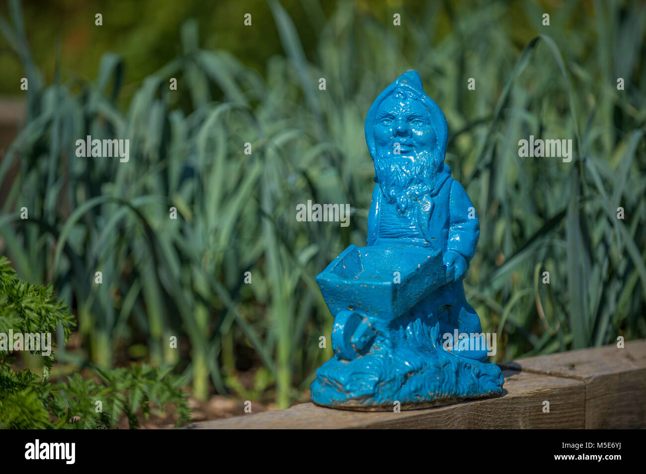 Knome hi-res stock photography and images - Alamy