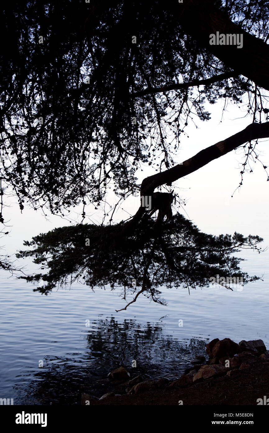 Coyote Point Recreation Area on San Francisco Bay Stock Photo - Alamy
