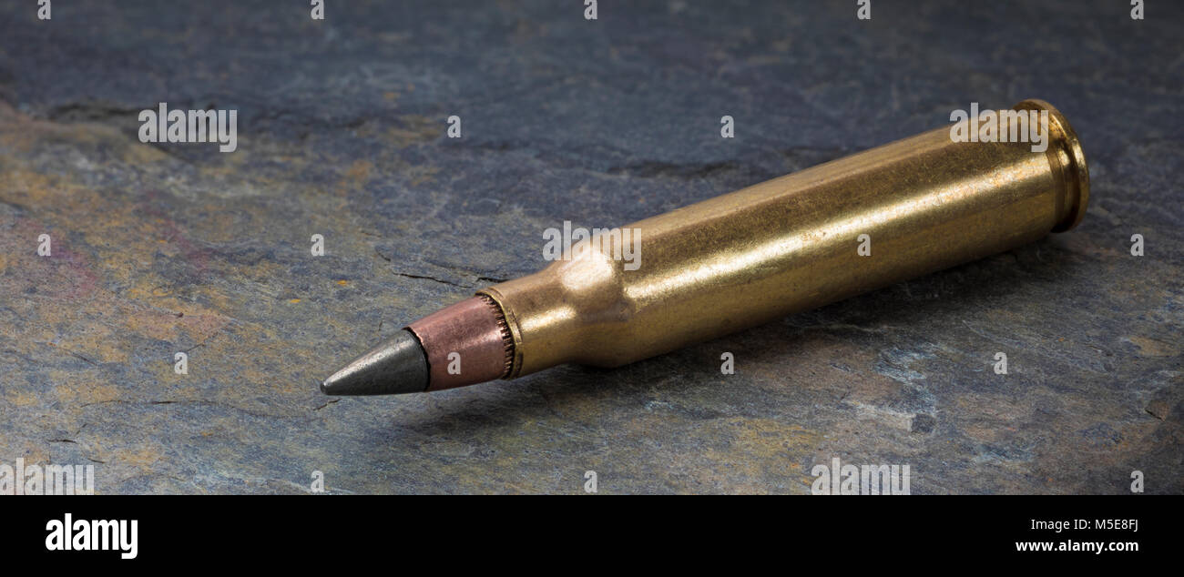 M855 EPR cartridges on a grey rock background Stock Photo - Alamy