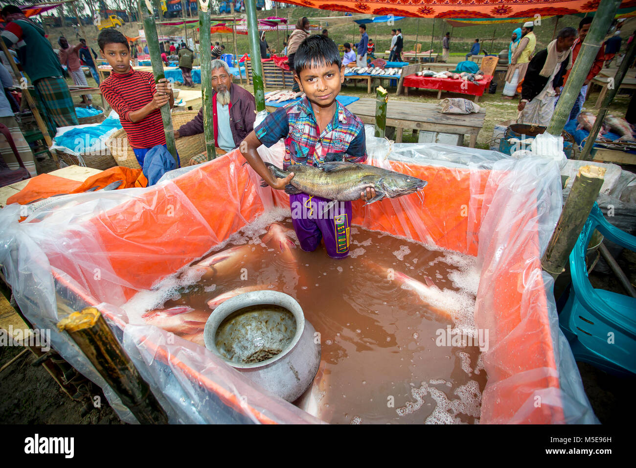 A boy display of big size of river fishes at ‘Poradaha Mela’ in Gabtali upazila of Bogra ...
