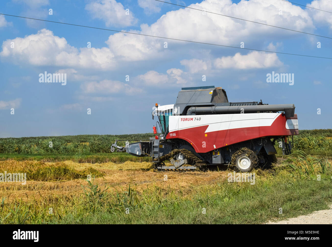 Torum hi-res stock photography and images - Alamy