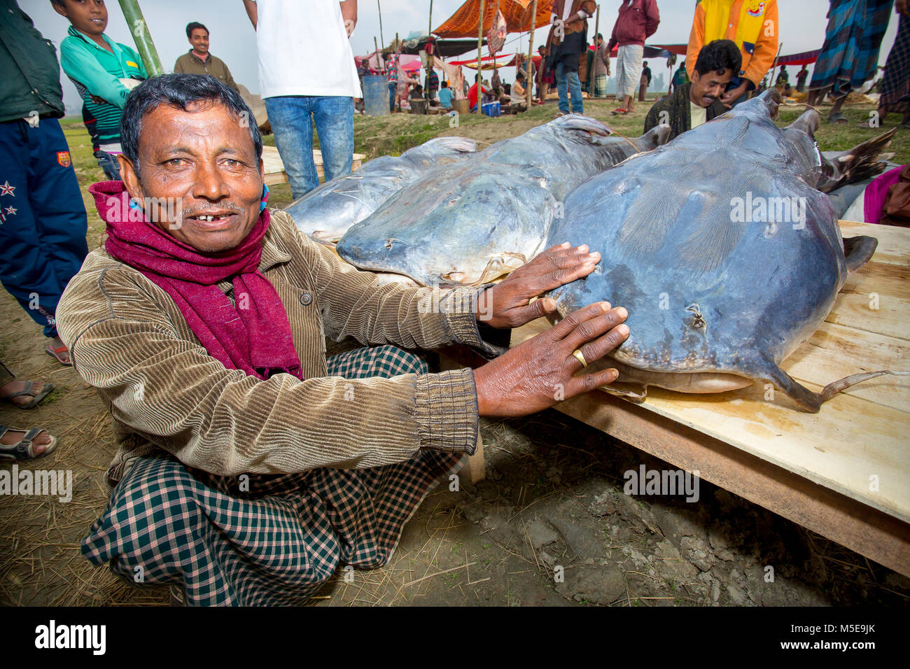 Baghair hi-res stock photography and images - Alamy