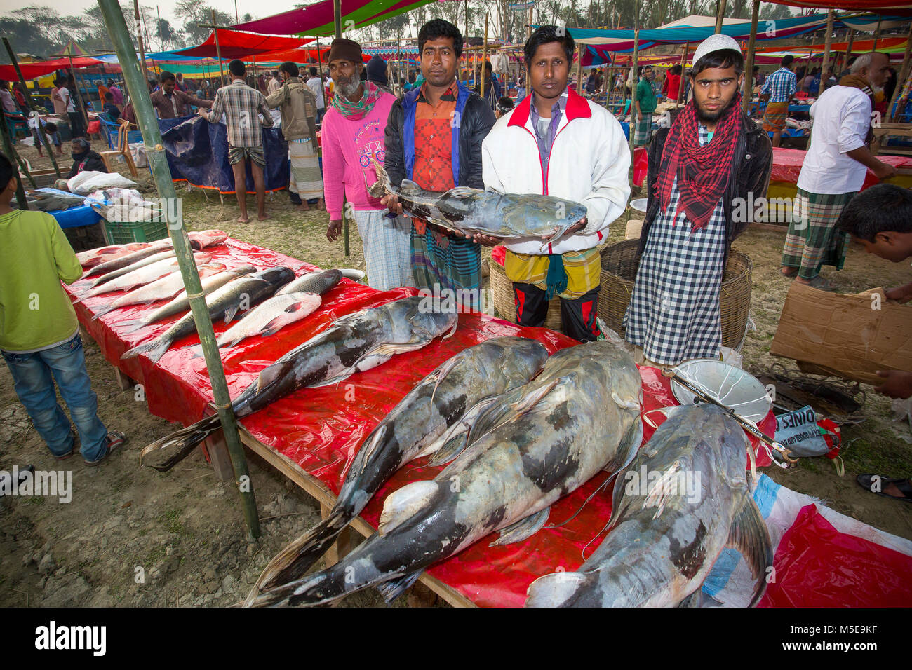 Sellers display a ‘Baghair’ fish weighing 100kg at ‘Poradaha Mela’ in ...