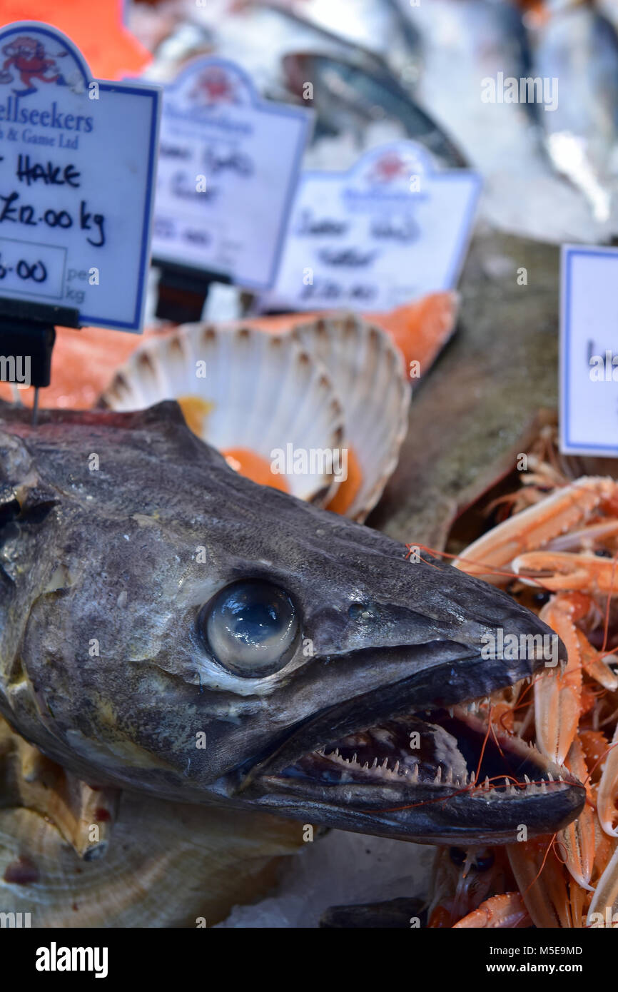 a large fresh hake on a fishmongers stall at borough market in central ...