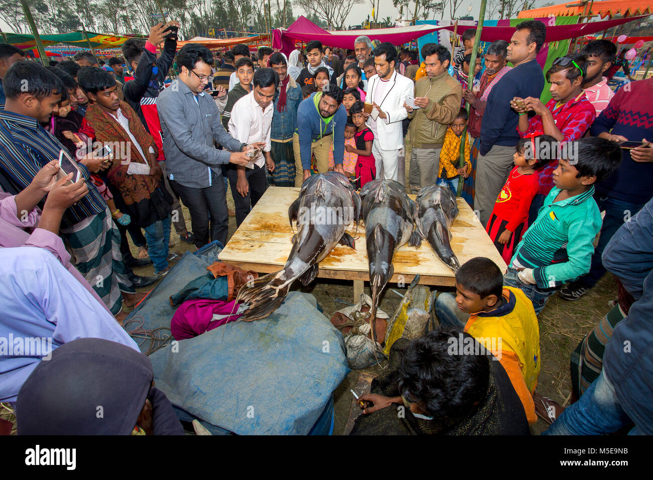 Sellers display a ‘Baghair’ fish weighing 100kg at ‘Poradaha Mela’ in ...