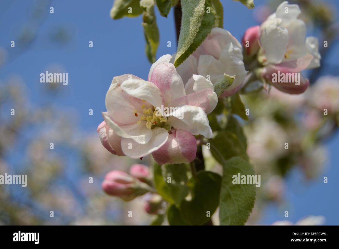 Opening up landscape hi-res stock photography and images - Alamy
