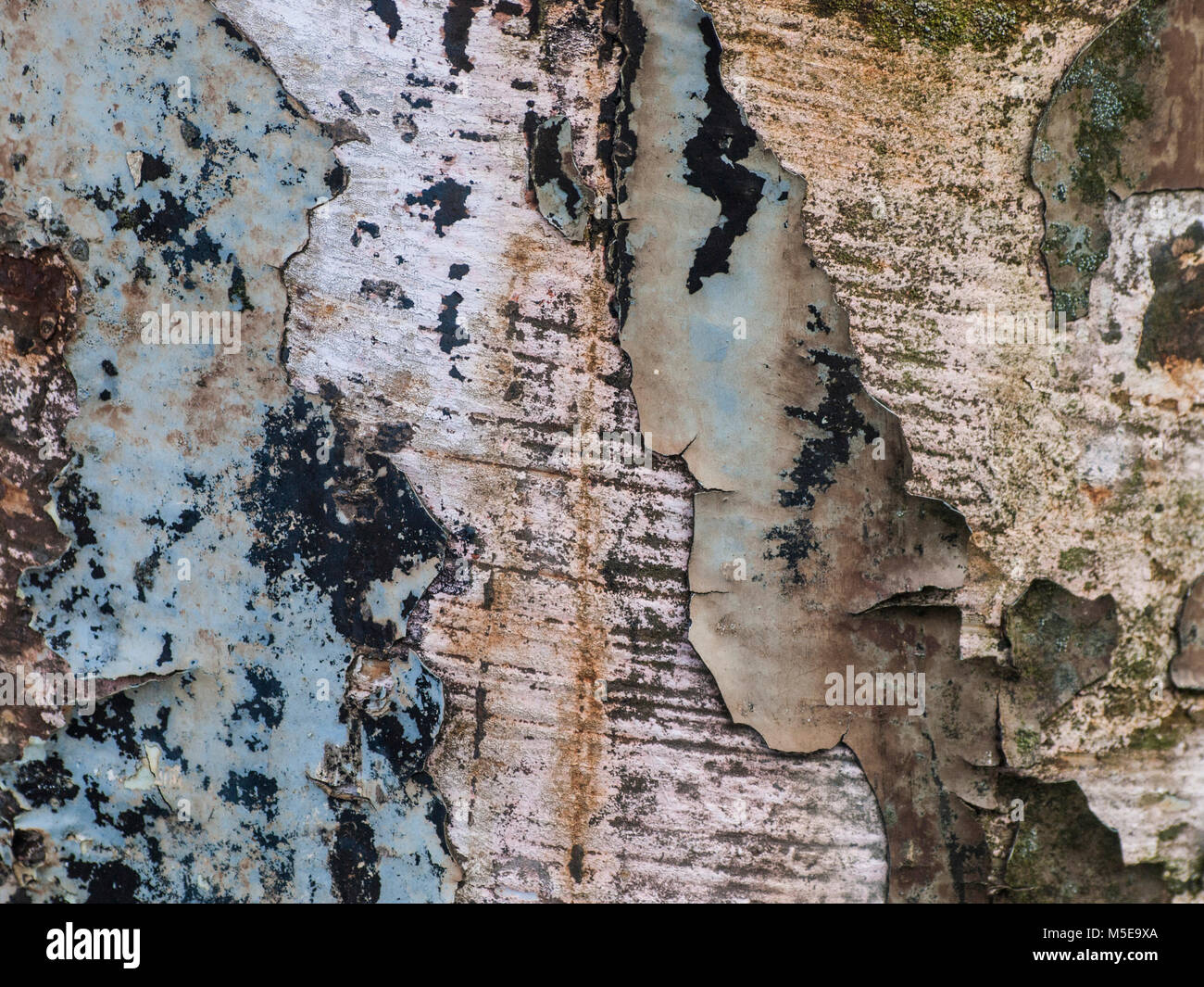 Abstract texture -peeling paint on the stone background Stock Photo - Alamy