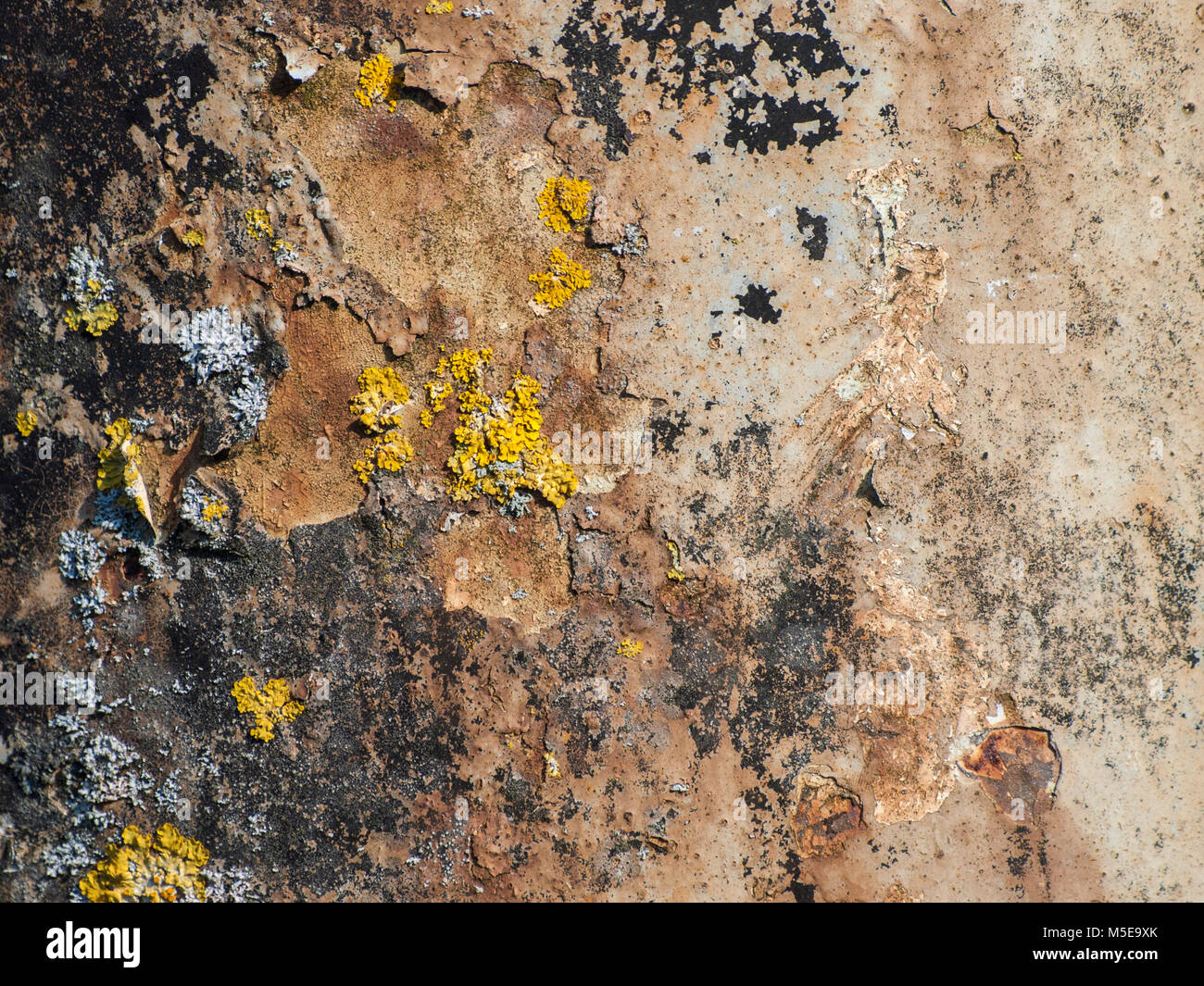 Abstract industrial texture hi-res stock photography and images - Alamy