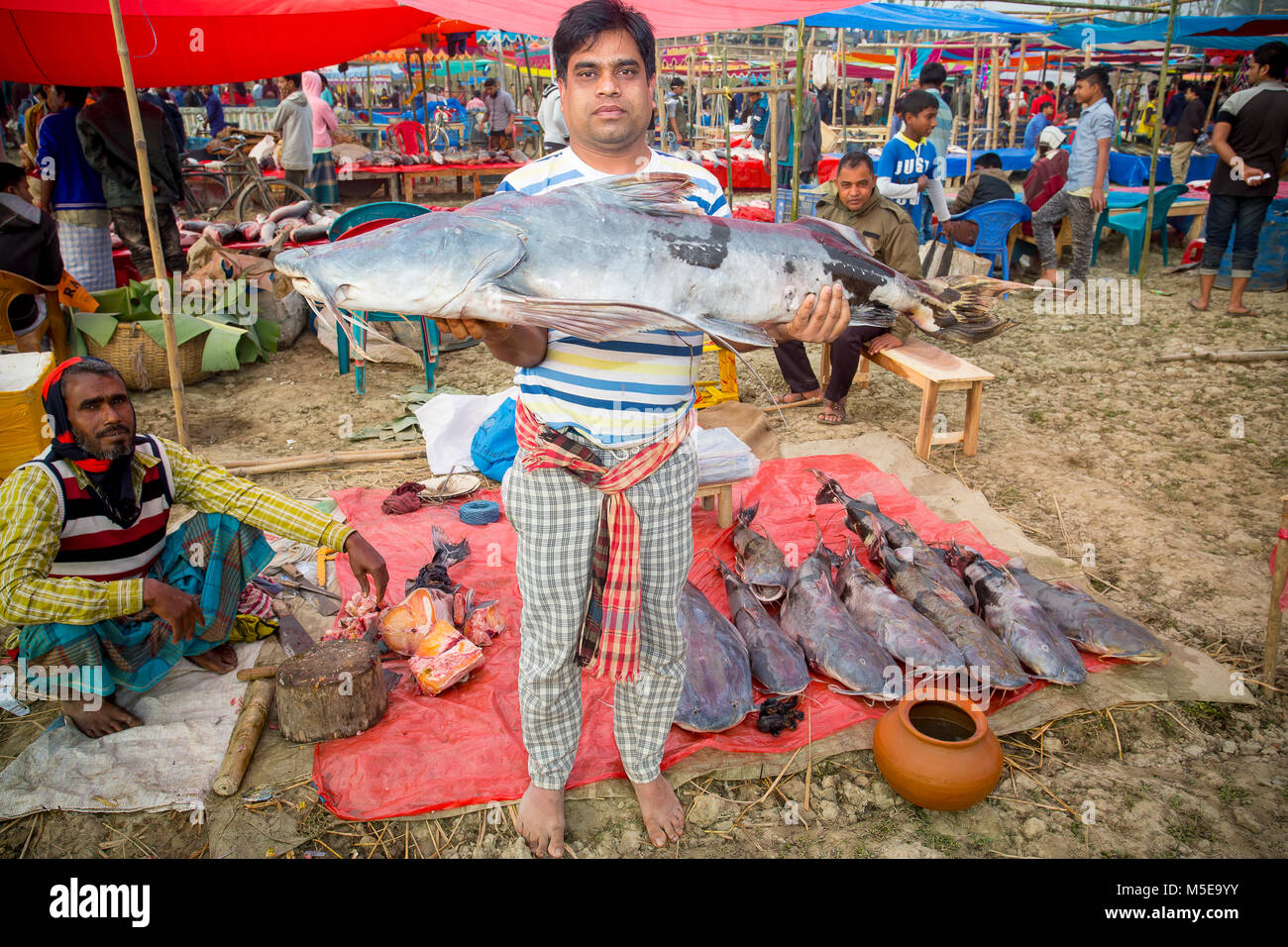 Sellers display a ‘Baghair’ fish weighing 100kg at ‘Poradaha Mela’ in ...