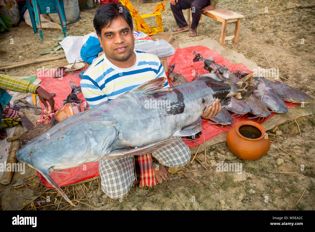Sellers display a ‘Baghair’ fish weighing 100kg at ‘Poradaha Mela’ in ...